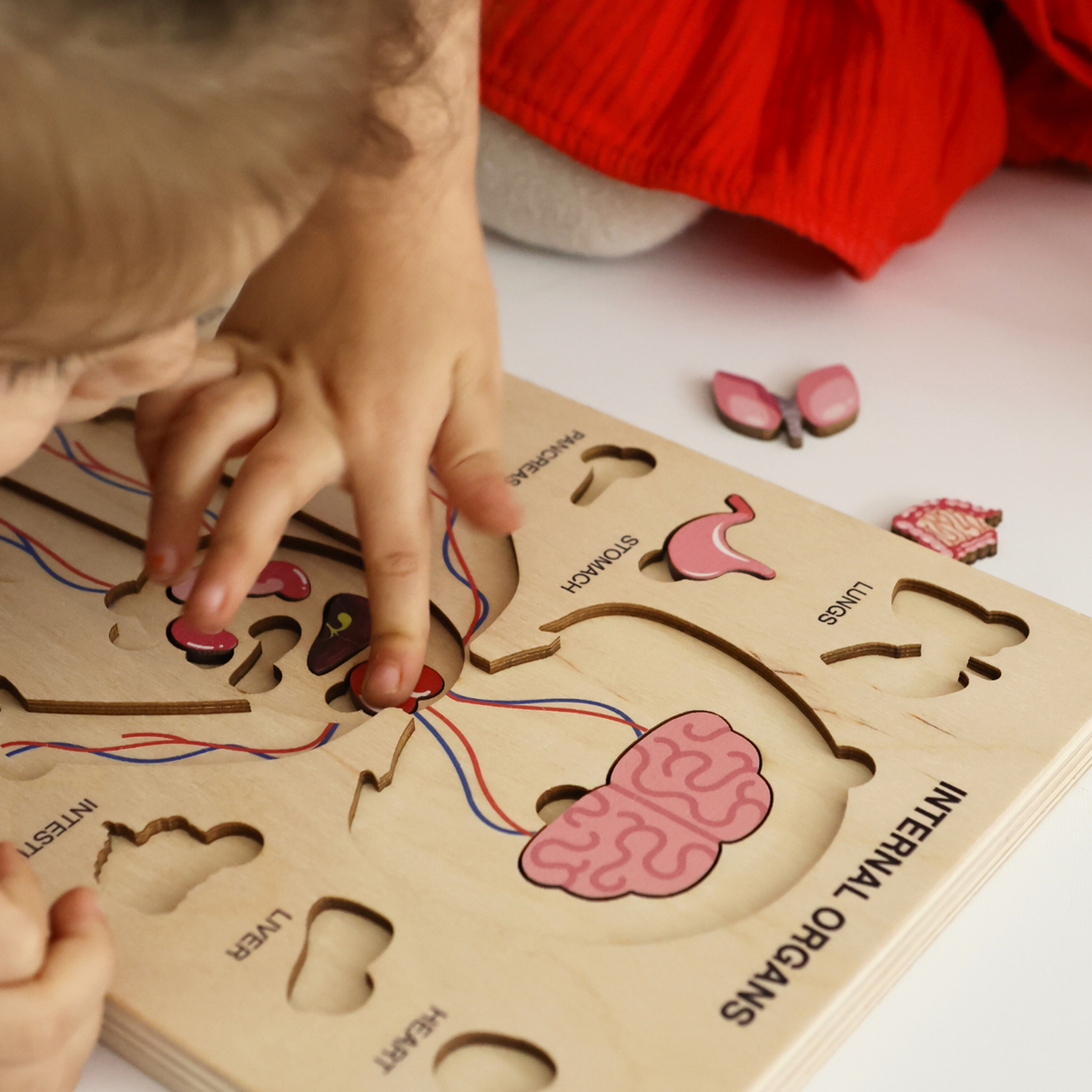 Montessori Wooden Human Body Puzzle – Six Character Anatomy Toy for Ki ...